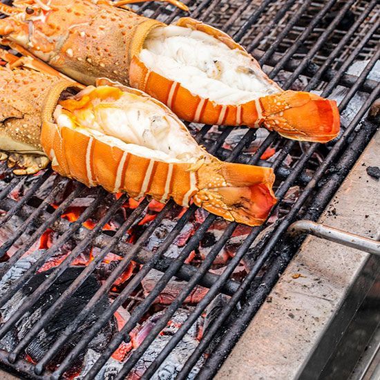 Grilled Moreton Bay Bugs – Pukara Estate